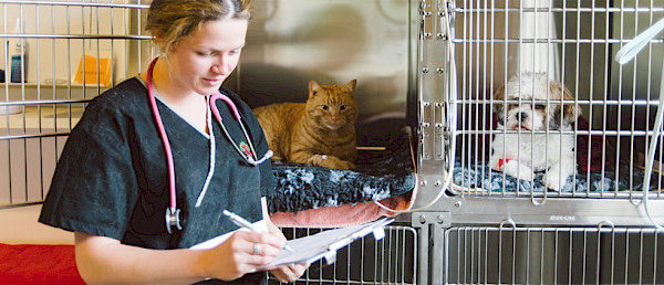 Selwood House Vet Hospital